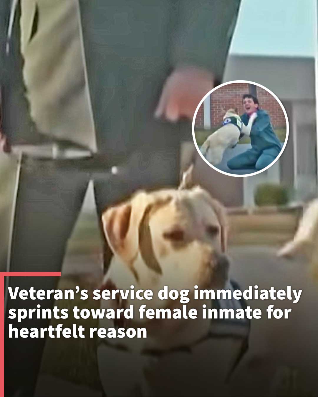 Service dog recognizes female inmate who trained him