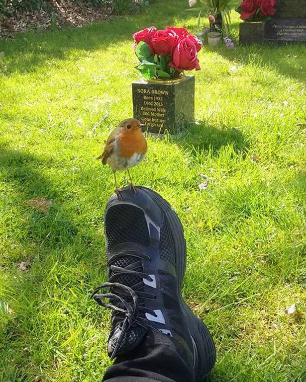 Bird comforts grieving mother after she asked for a "sign" at her son's ...