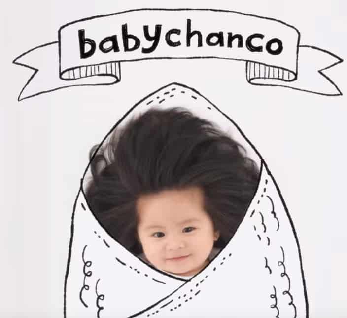 Baby Chanco who went viral for majestic mane is now a hair model