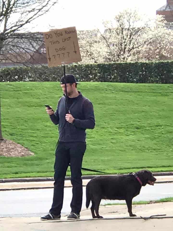 Man finds dog's owner after standing on the street with a sign
