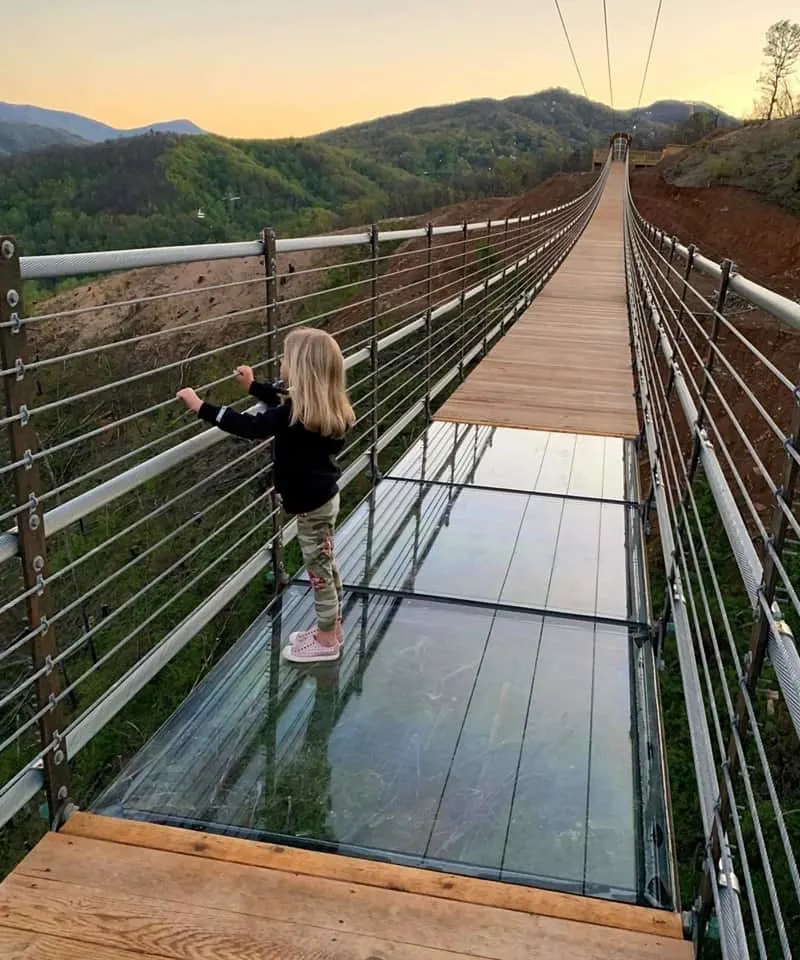 Longest pedestrian suspension bridge in the US is now open — includes ...