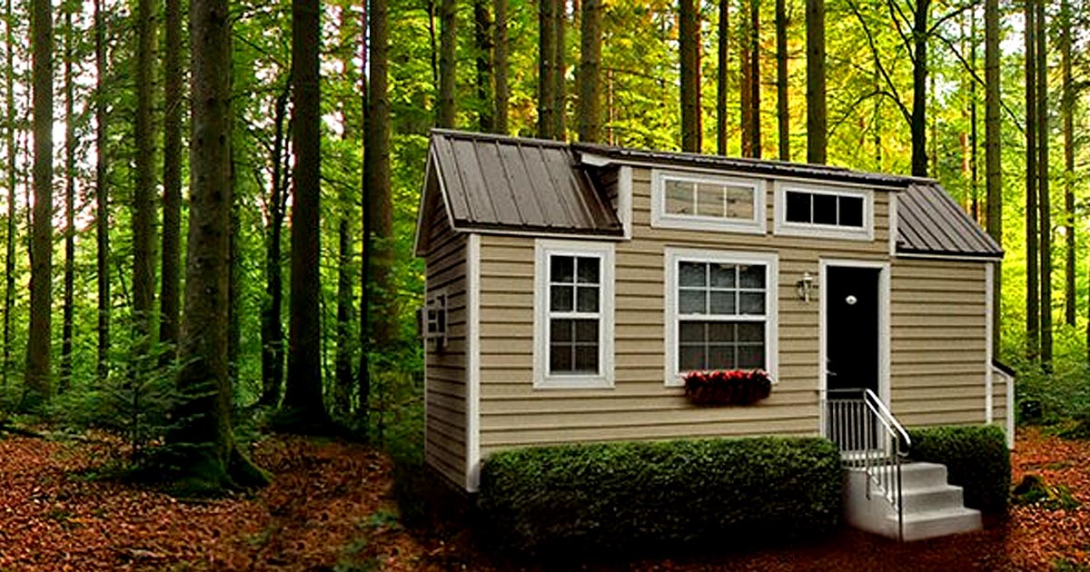 Why the elderly are embracing tiny homes for senior citizens