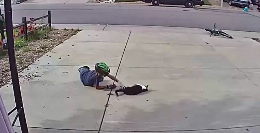 Sweet video clip shows boy’s daily visit to neighbor's 'misunderstood ...