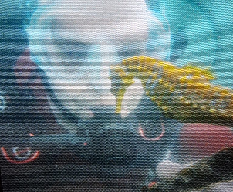 This amazing retired teacher built a hidden sanctuary for the majestic ...