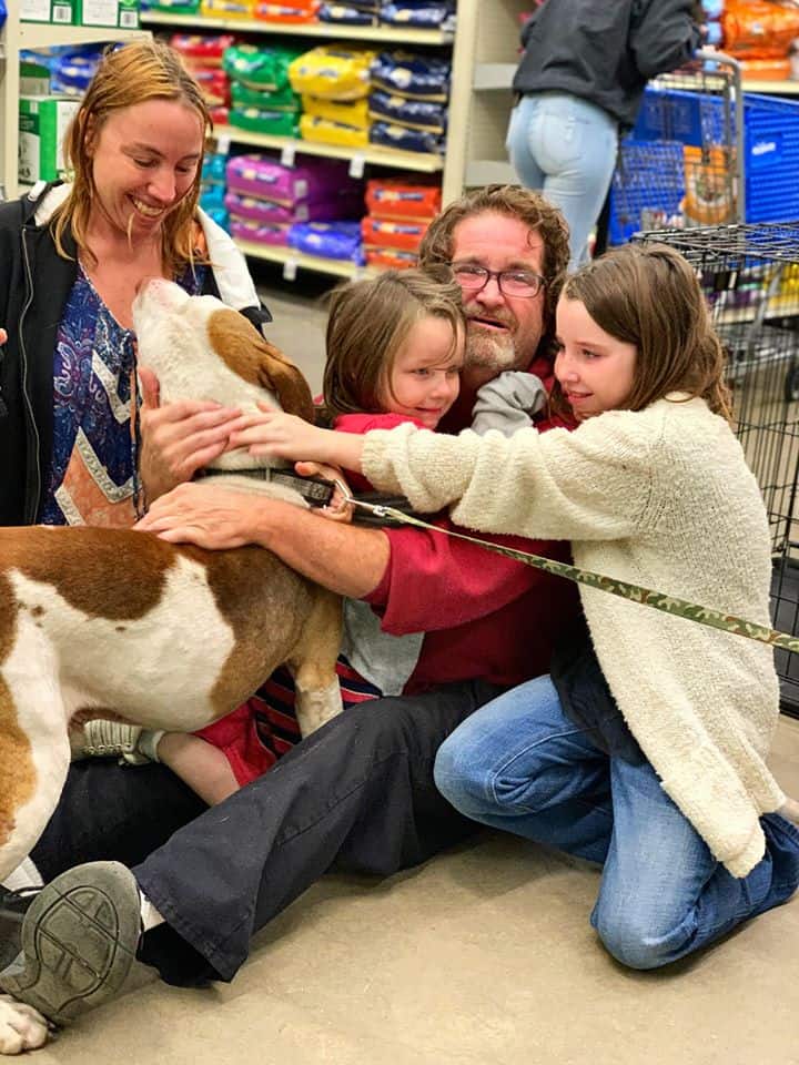 Missing dog reunites with his family while family waiting to adopt a cat