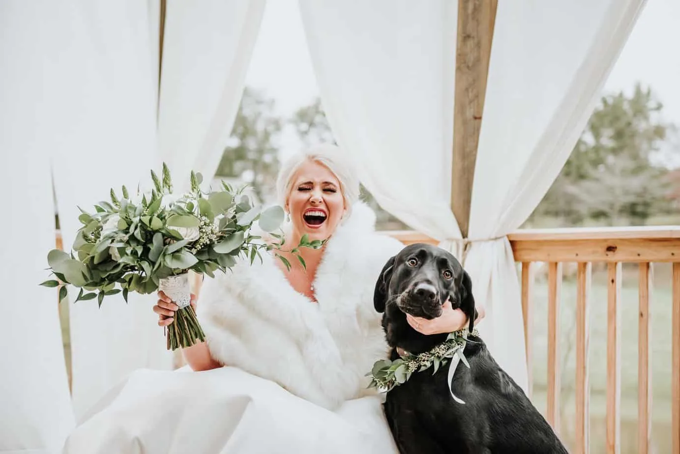 Bride shares the spotlight with her dog in a unique and adorable first ...