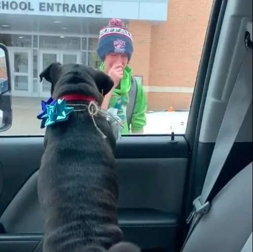 Watch this family surprise their son at school with his lost dog