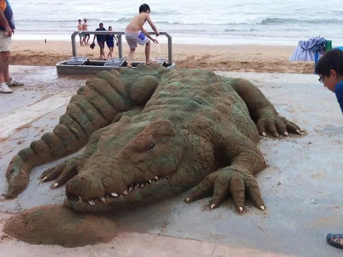 This sand artist creates animal sculptures so incredibly detailed, they ...