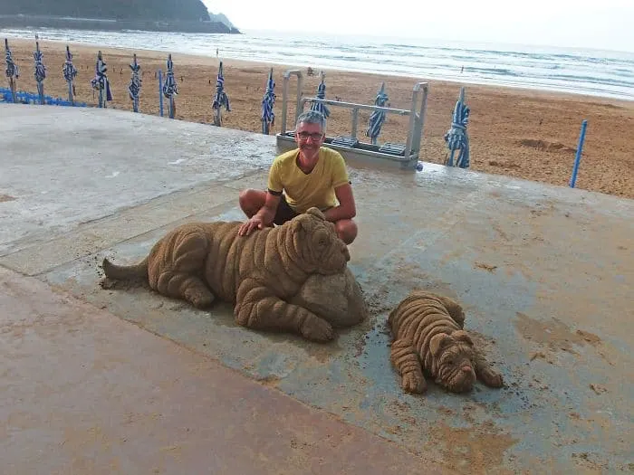 This sand artist creates animal sculptures so incredibly detailed, they ...