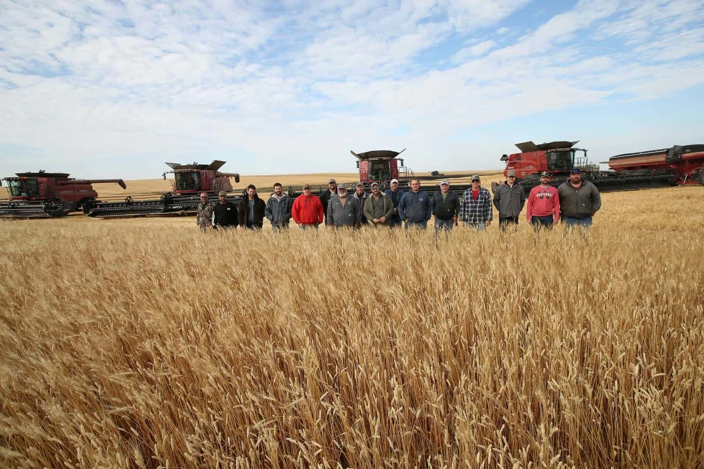 The farmers in this community rally to harvest crops of neighbor who ...