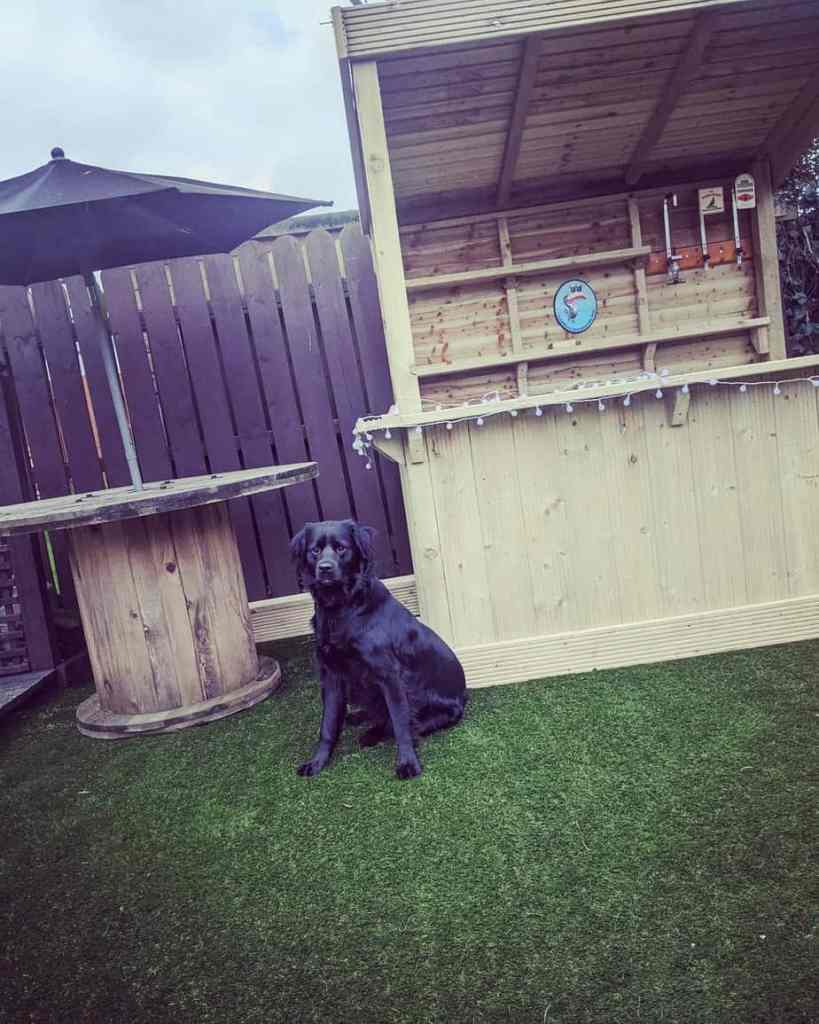 People are turning their backyard sheds into wine shacks for an at-home ...