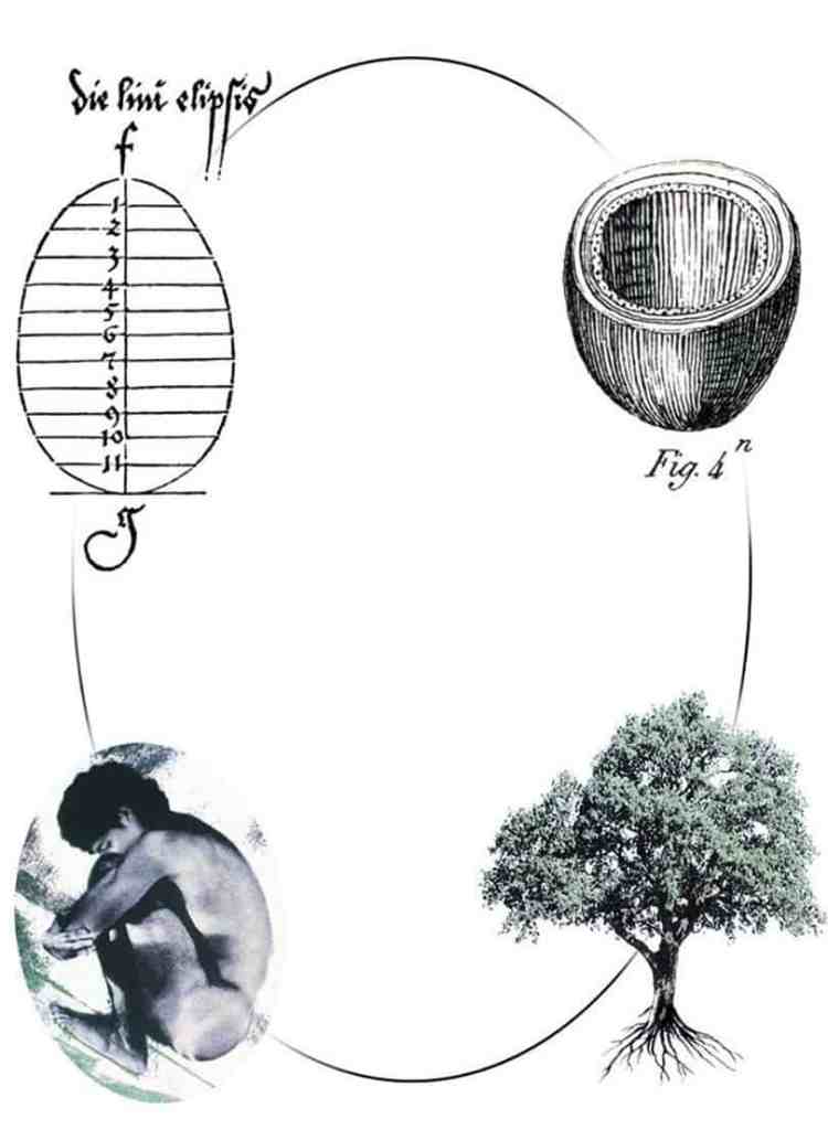 This burial pod made of biodegradable materials turns your body into a ...