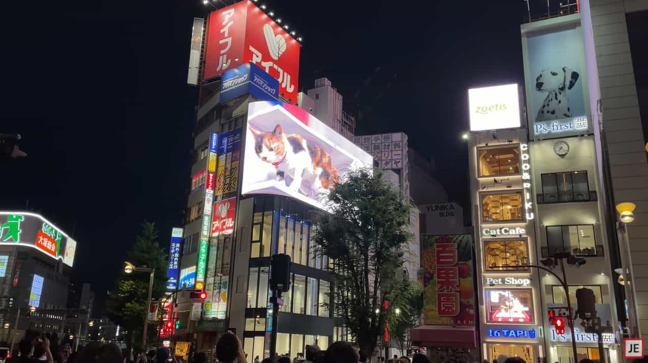 A giant 3D cat has taken over one of Tokyo's biggest billboards ...