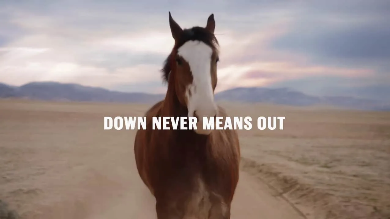 Budweiser's new Super Bowl ad reunites Clydesdale and dog in an ...