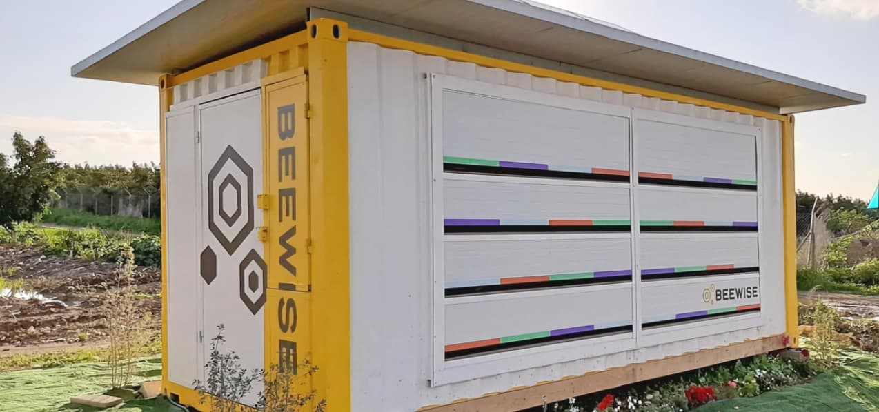 Innovative robotic beehive secures funding to save bees