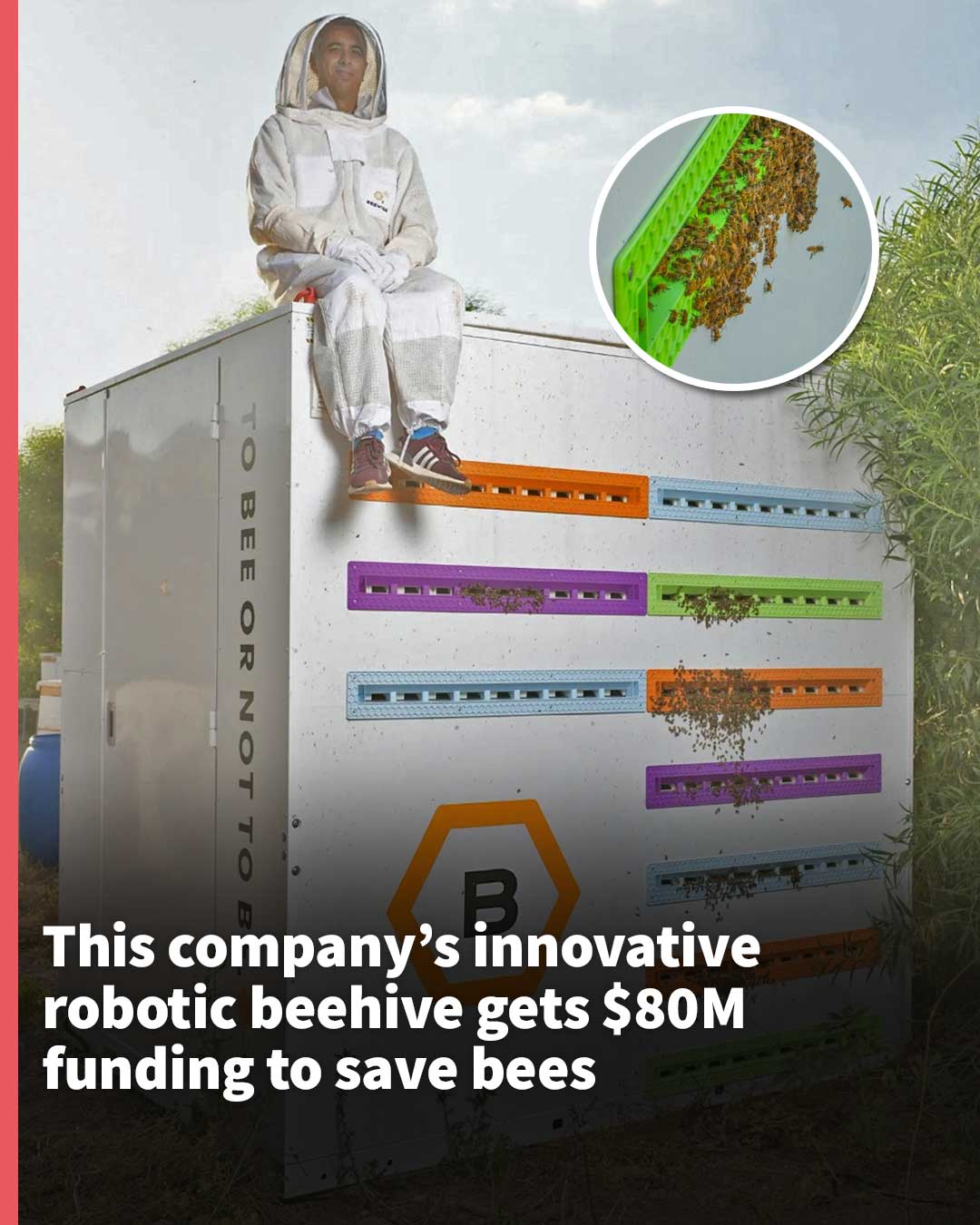 Innovative robotic beehive secures funding to save bees