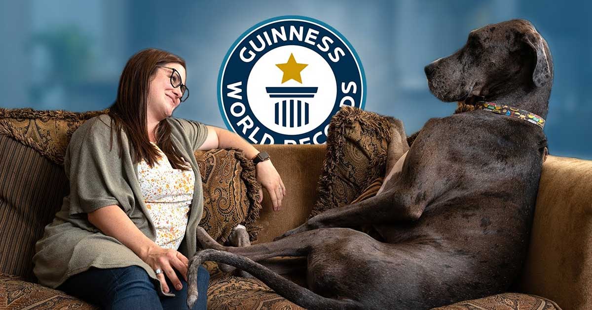 World's tallest male dog stands over 7 feet tall