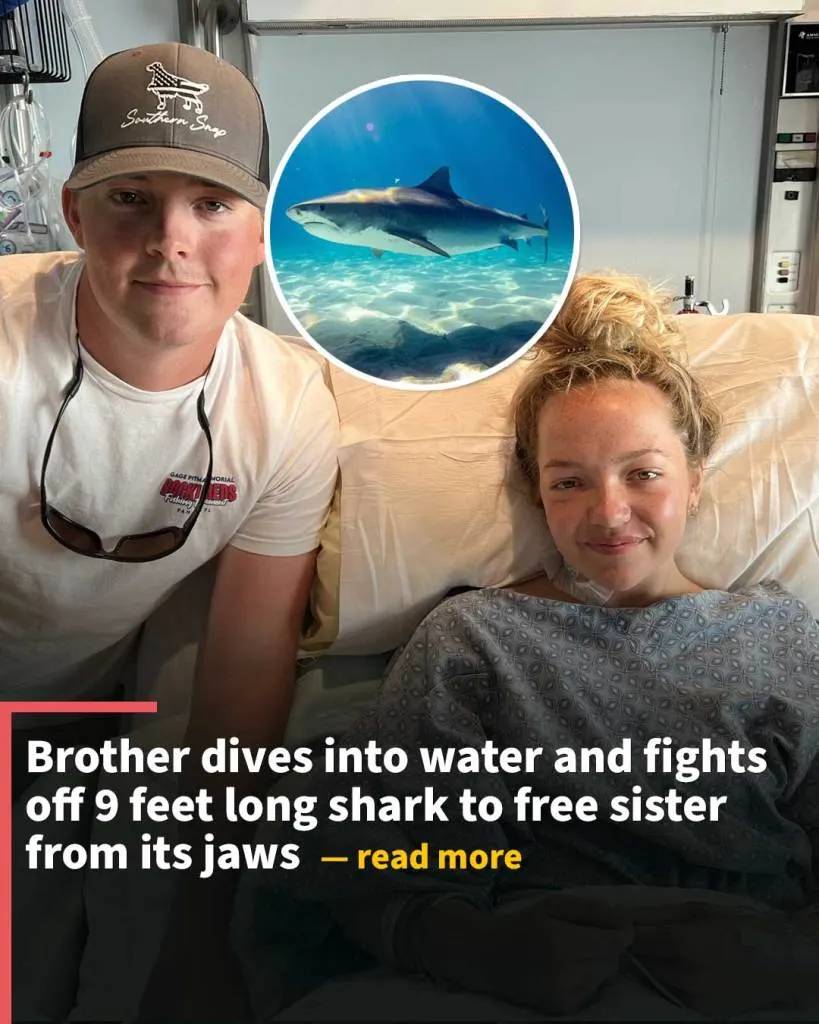 Brother dives into water and fights off shark to rescue sister