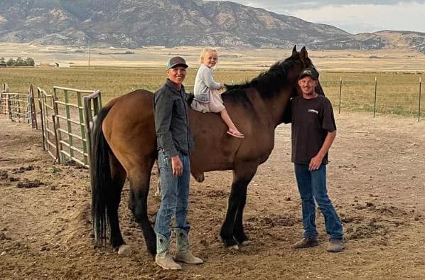 Missing horse returns home after running with wild mustangs for 8 years