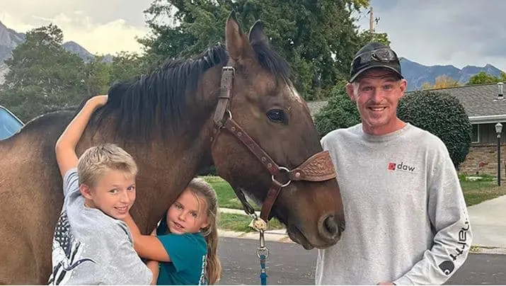 Missing horse returns home after running with wild mustangs for 8 years