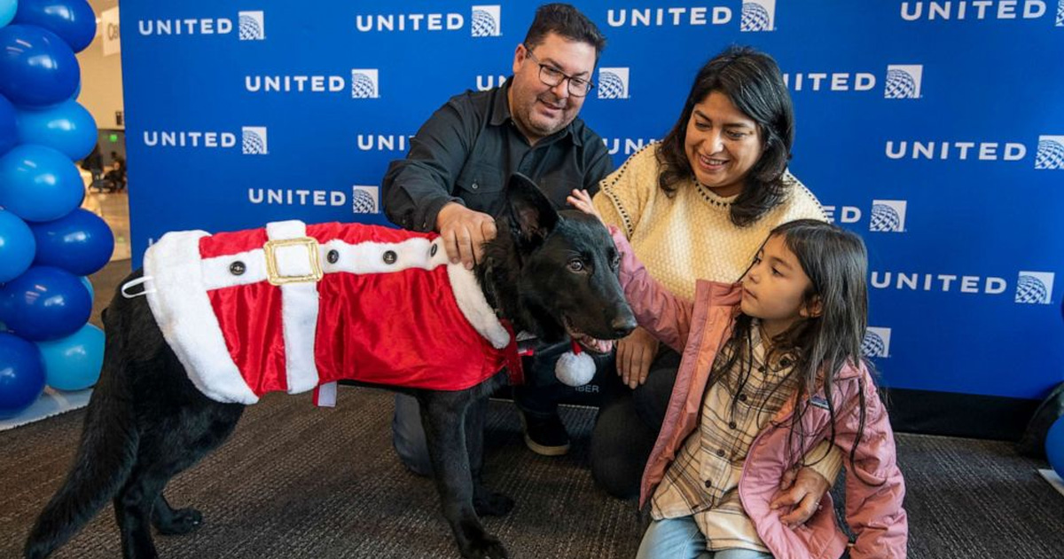 Dog Left Behind Finds Forever Home with United Airlines Pilot