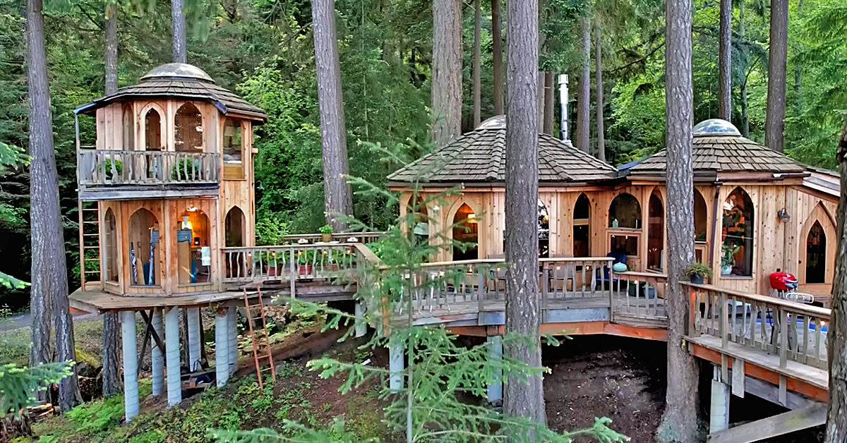 Woman who lives alone in beautiful fairytale forest house now wants to ...