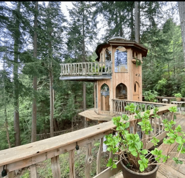 Woman who lives alone in beautiful fairytale forest house now wants to ...