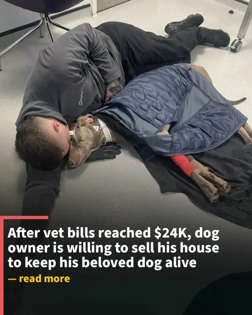 After vet bills reached $24K, dog owner is willing to sell his house to ...