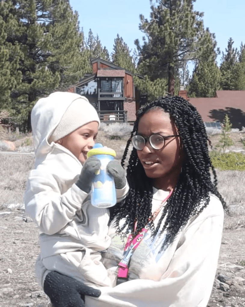 Single mom with a budget of $5K transforms van into a tiny home so she ...