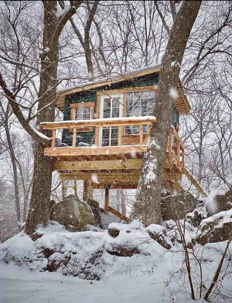 Man builds a treehouse puts it on AirBnB