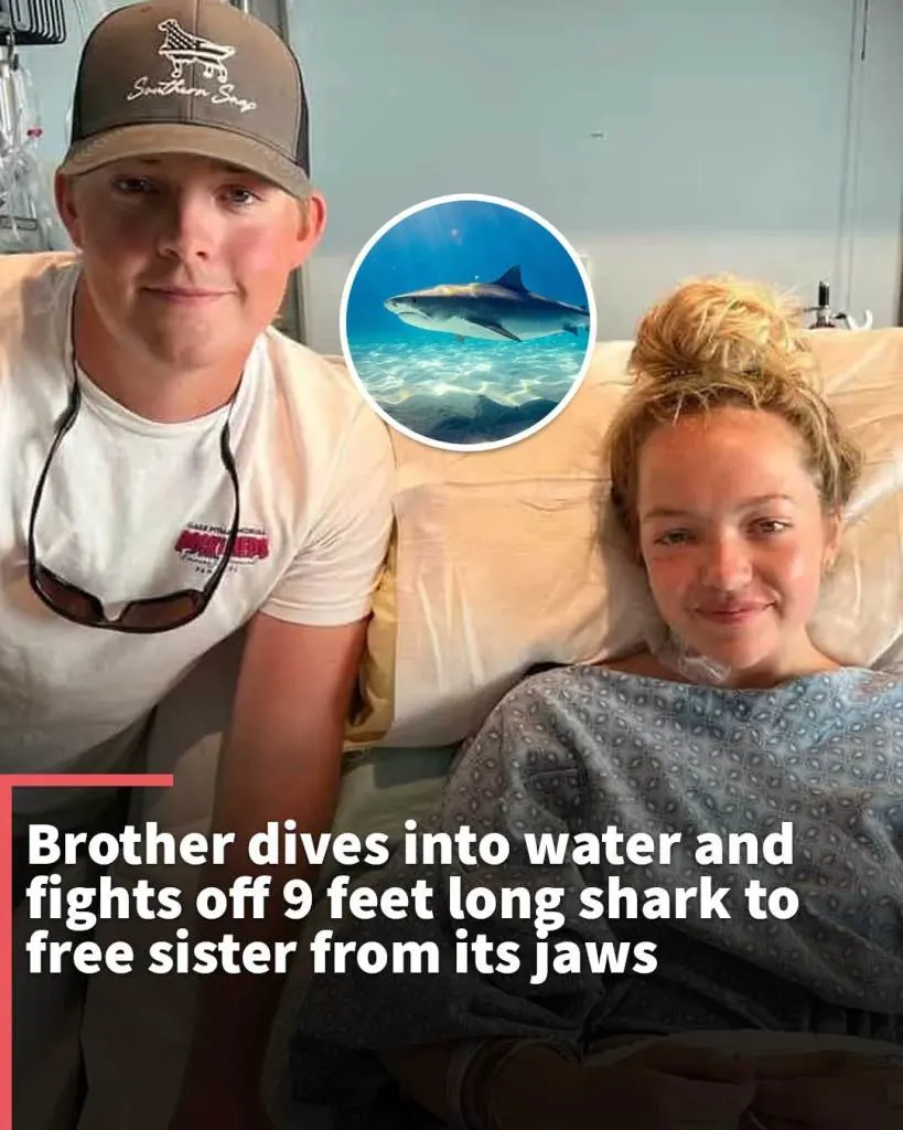 Brother dives into water and fights off shark to rescue sister