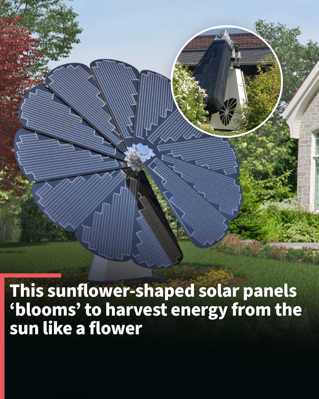 This sunflower-shaped solar panels 'blooms' to harvest energy from the ...