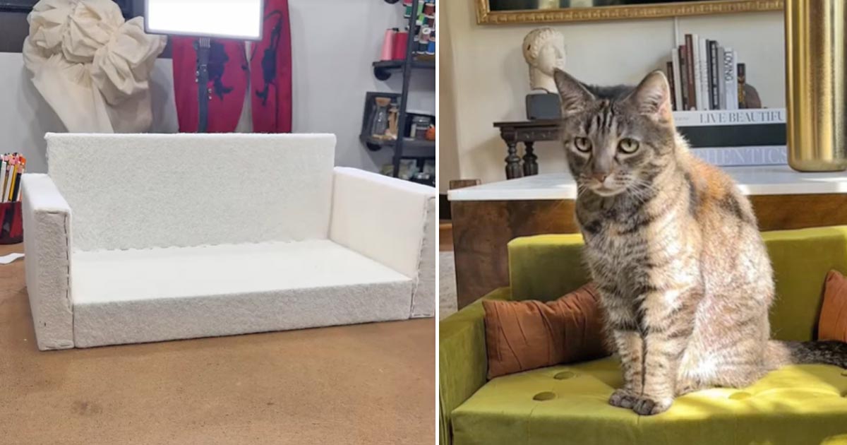 Couple Creates Tiny Replica of Cat's Favorite Couch