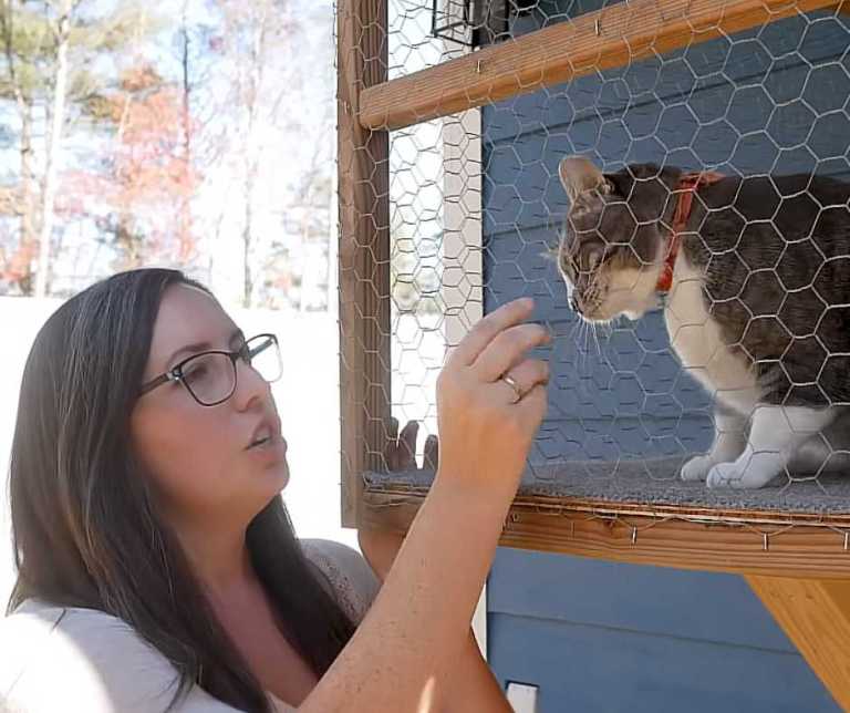 Tiny Home Customized for Woman and Her Three Cats Under $40k