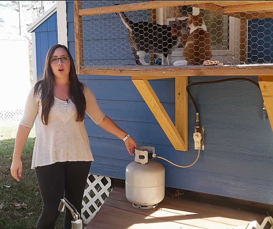 Tiny Home Customized for Woman and Her Three Cats Under $40k