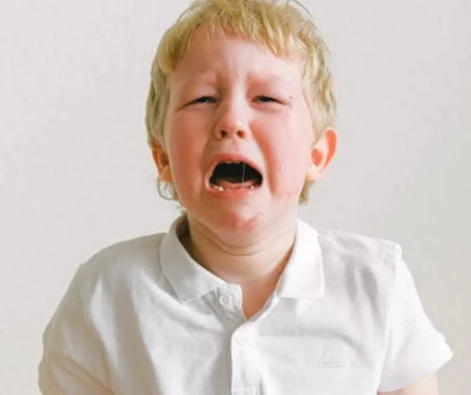 Preschooler's Grumpy Homecoming Mirrors Our Mood After Work