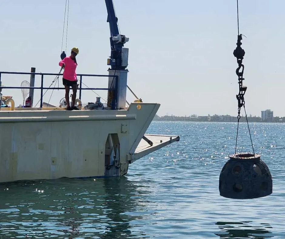 Families Transform Cremated Remains into Eternal Reefs