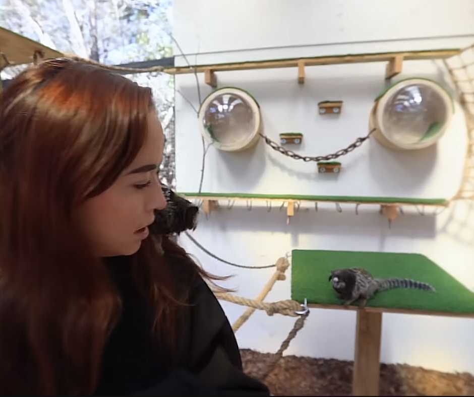 Woman Parks Tiny Home Inside Exotic Animal Sanctuary She Built