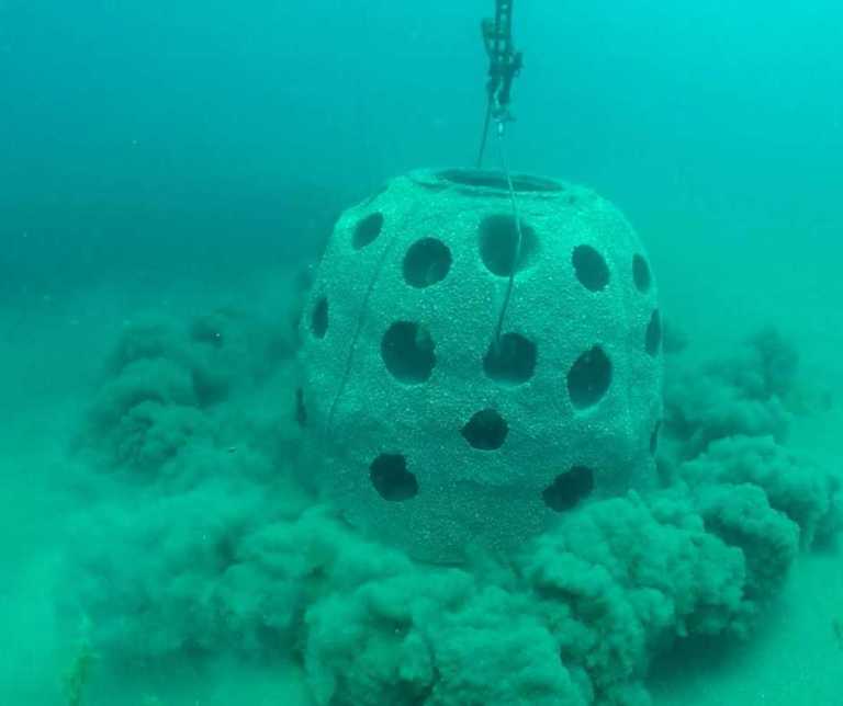 Families Transform Cremated Remains into Eternal Reefs