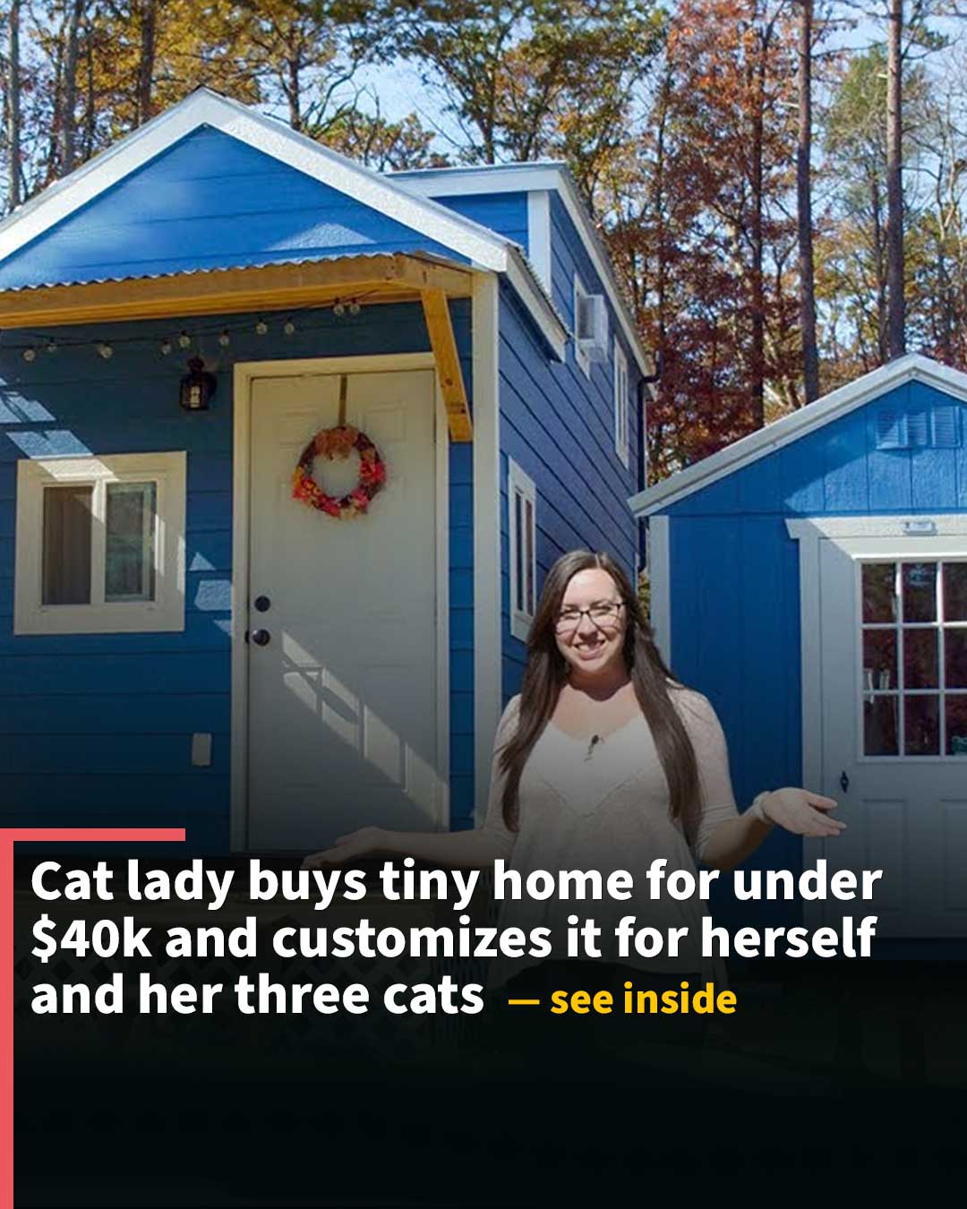 Tiny Home Customized for Woman and Her Three Cats Under $40k