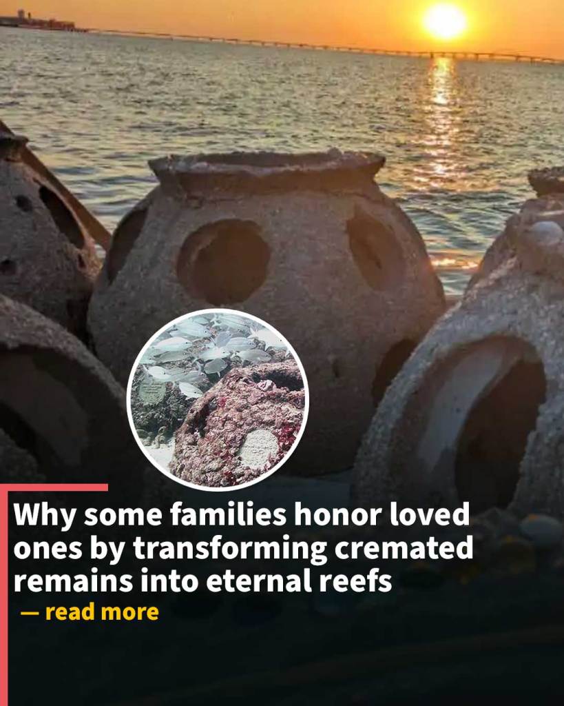 Families Transform Cremated Remains into Eternal Reefs