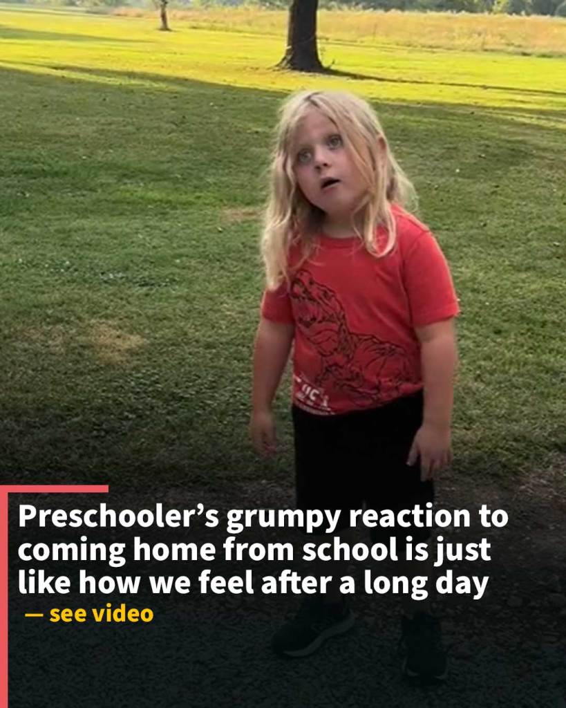 Preschooler's Grumpy Homecoming Mirrors Our Mood After Work