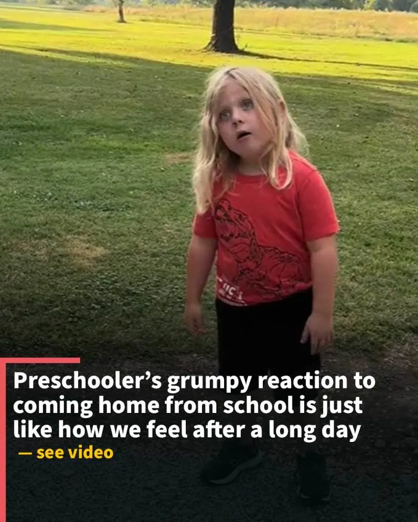 Preschooler's Grumpy Homecoming Mirrors Our Mood After Work