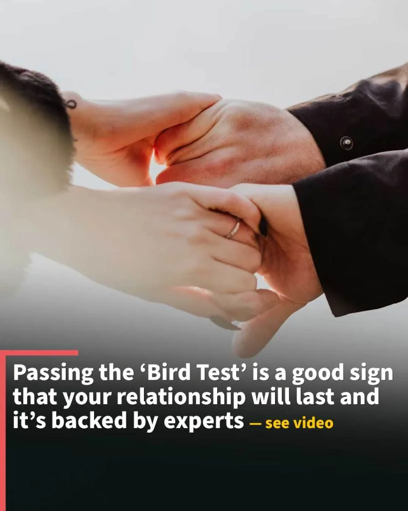 TikTok Trend: Passing the 'Bird Test' Signals Strong Relationships