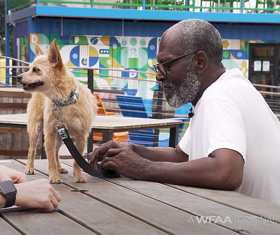 Juvenile Detention Center Becomes Foster Home for Dogs