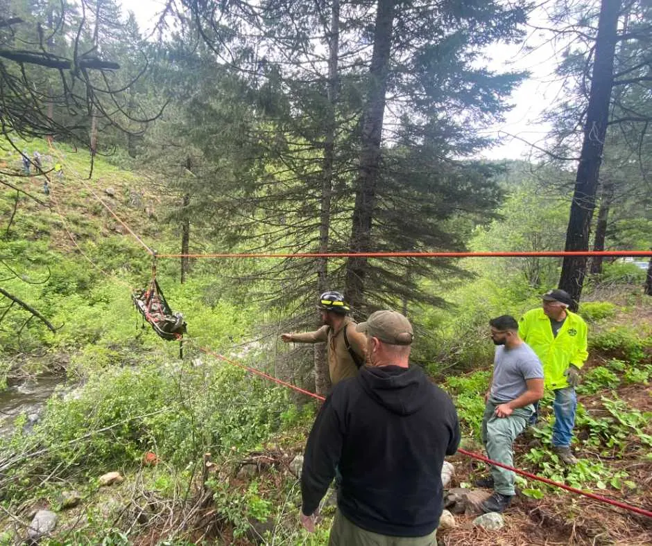 Loyal Dog Runs 4 Miles To Get Help For Owner Trapped In Car