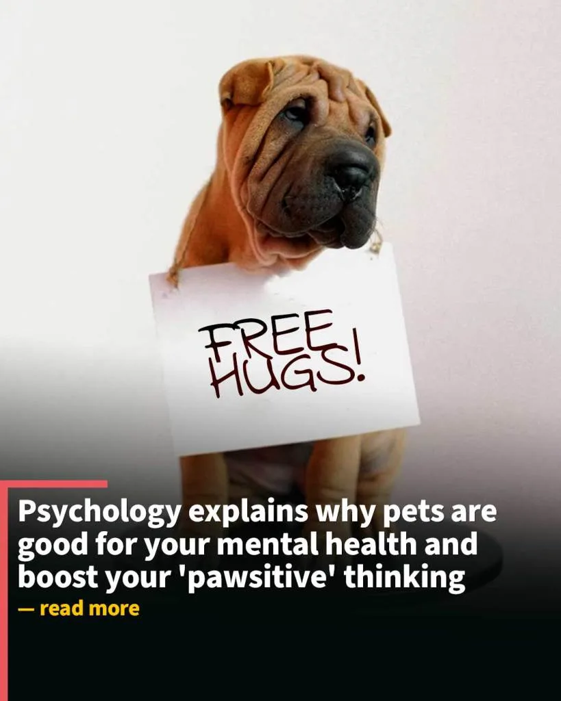 Psychology Explains Why Pets Are Good For Mental Health