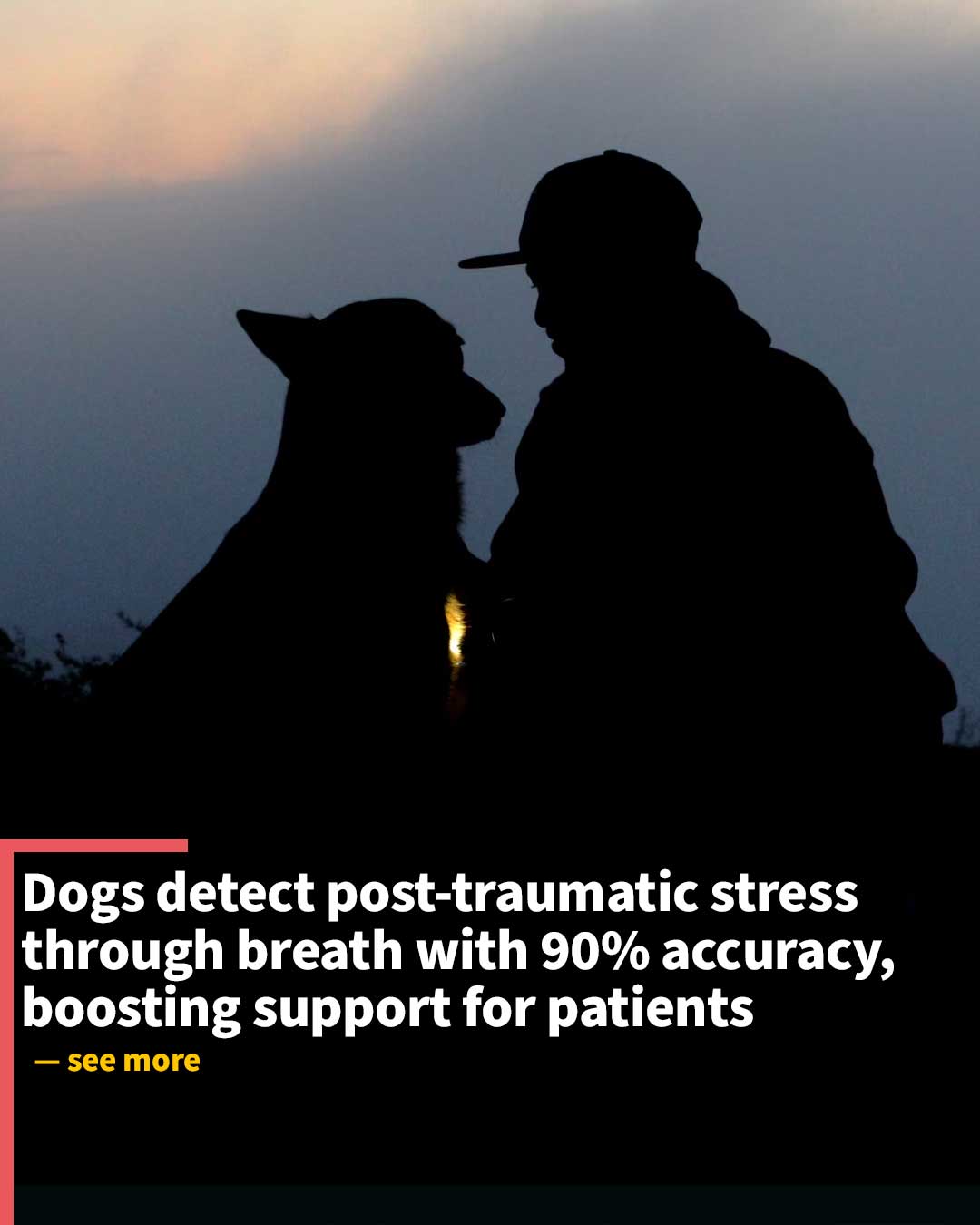 Dogs Can Detect PTSD Through Breath, Offering Hope to Patients