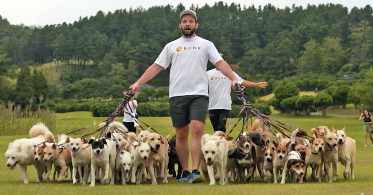 Man Breaks World Record Walking 38 Dogs at Once
